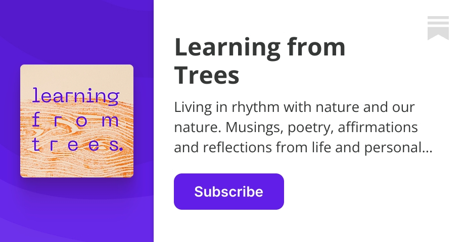 Learning from Trees | Shani Persson | Substack