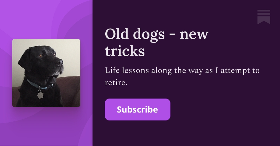 Old dogs - new tricks | Leslie Teal | Substack