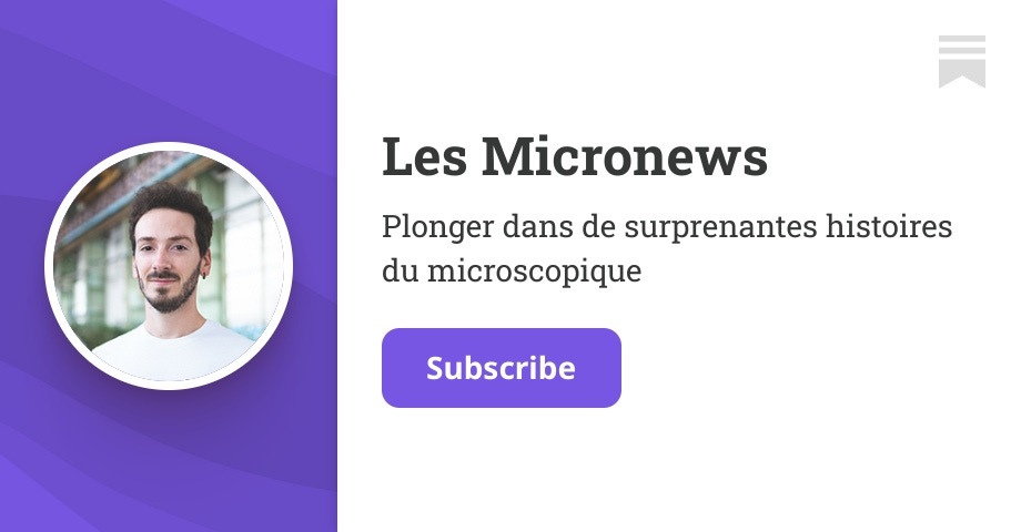Les Micronews | Renaud 🦠 | Substack