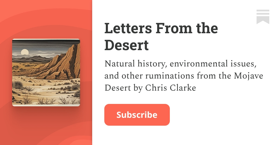 Letters From the Desert | Chris Clarke | Substack