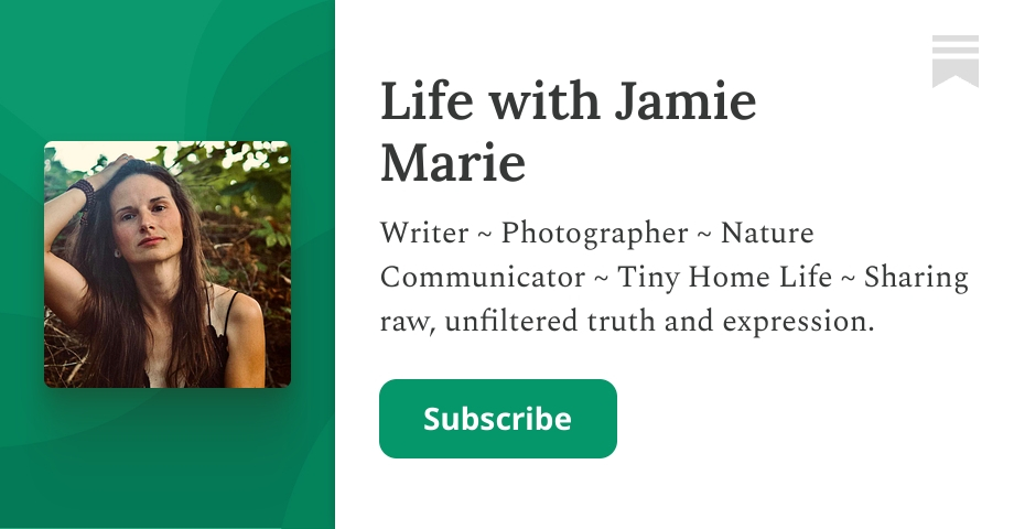 Life with Jamie Marie | Substack