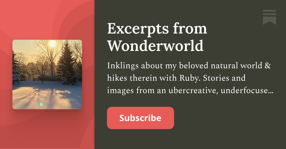 Excerpts from Wonderworld | Linda J Sack | Substack