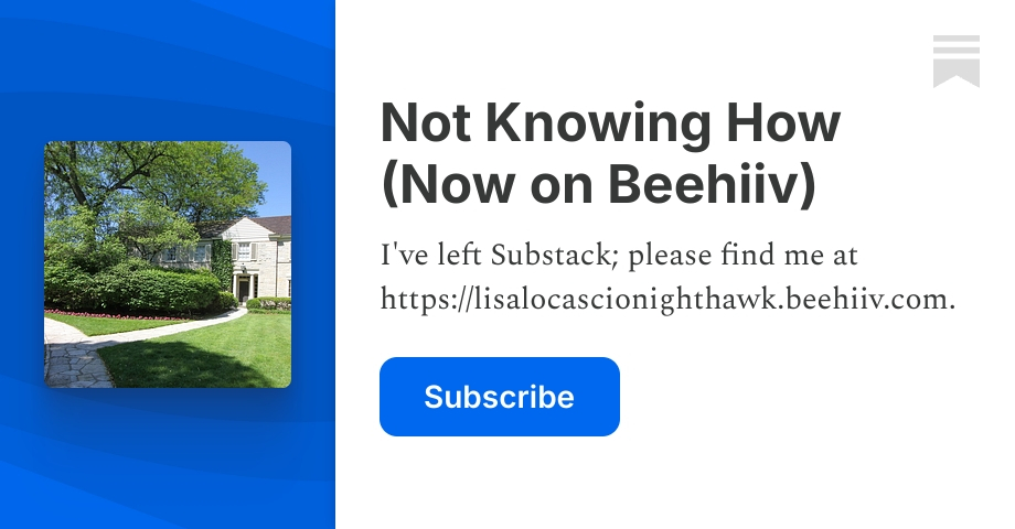 Not Knowing How | Lisa Locascio Nighthawk | Substack