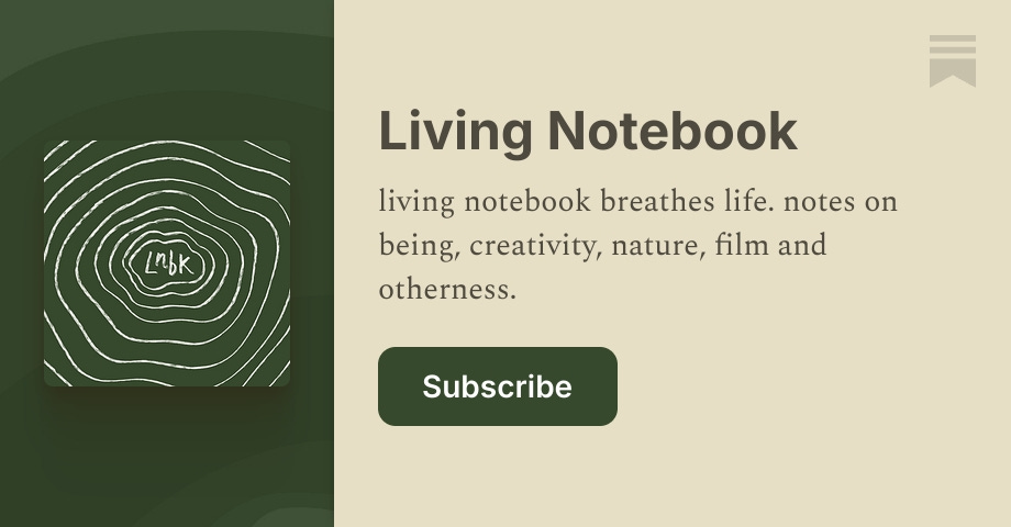 Living Notebook | sophie | Substack