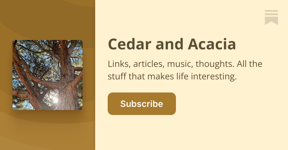 Cedar and Acacia | Liza Purdy | Substack