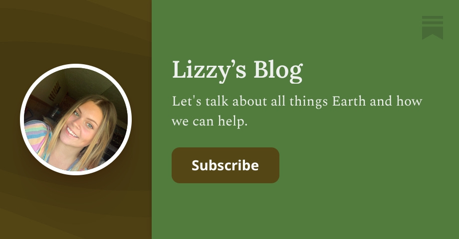 Lizzy’s Blog | Lizzy Griffith | Substack