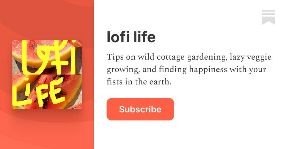lofi life | Casey Lister | Substack