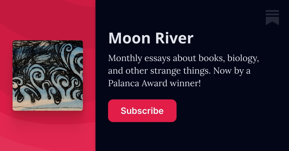 Moon River | Rio Constantino | Substack