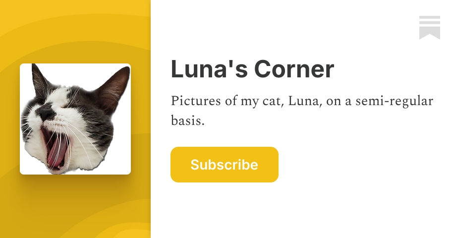 Luna's Corner | Substack