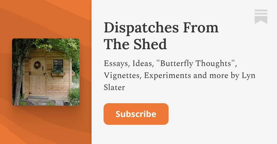 How To Be Old | Lyn Slater | Substack