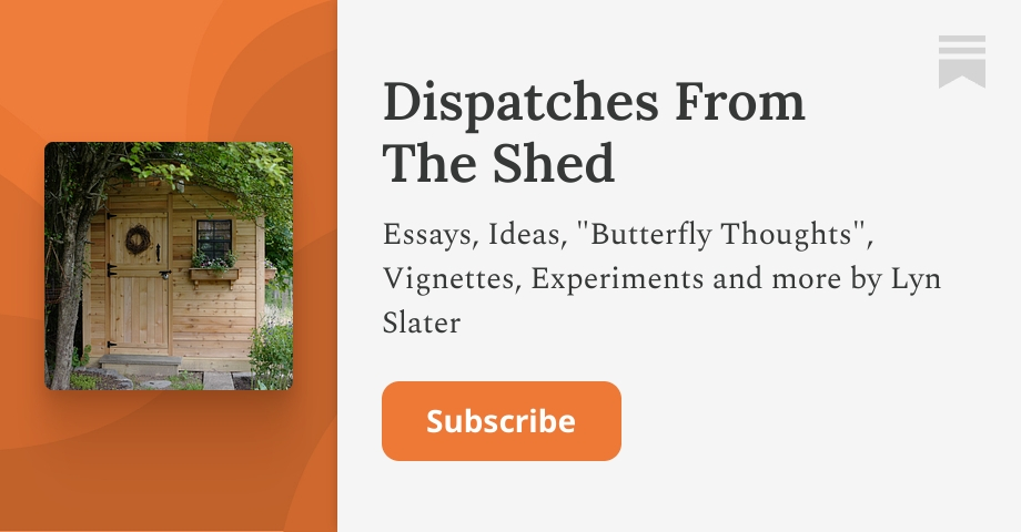 Dispatches From The Shed | Lyn Slater | Substack