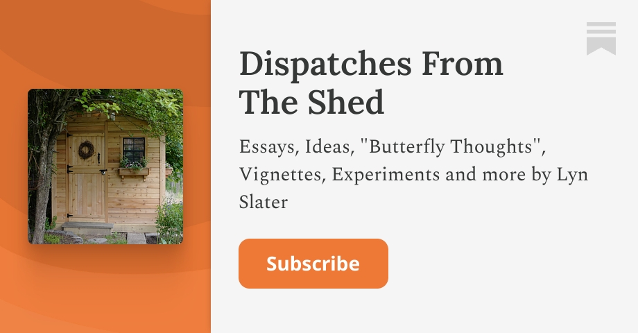 Dispatches From The Shed | Lyn Slater | Substack