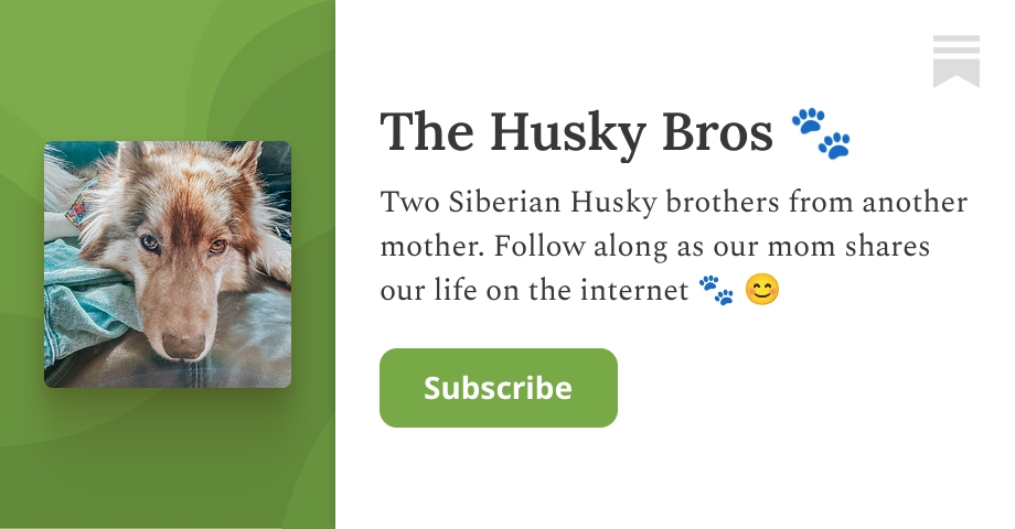 The Husky Bros 🐾 | Substack