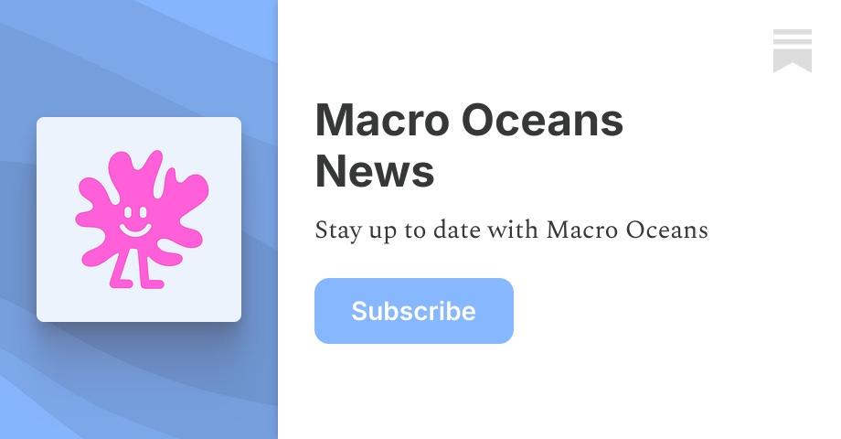 Macro Oceans News | Matthew Perkins | Substack