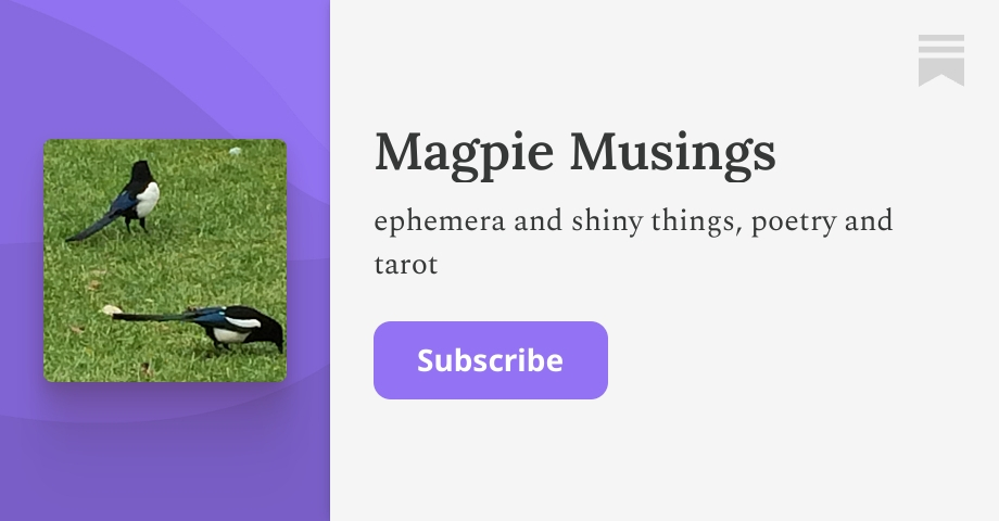 Magpie Musings | Catherine Fahey | Substack