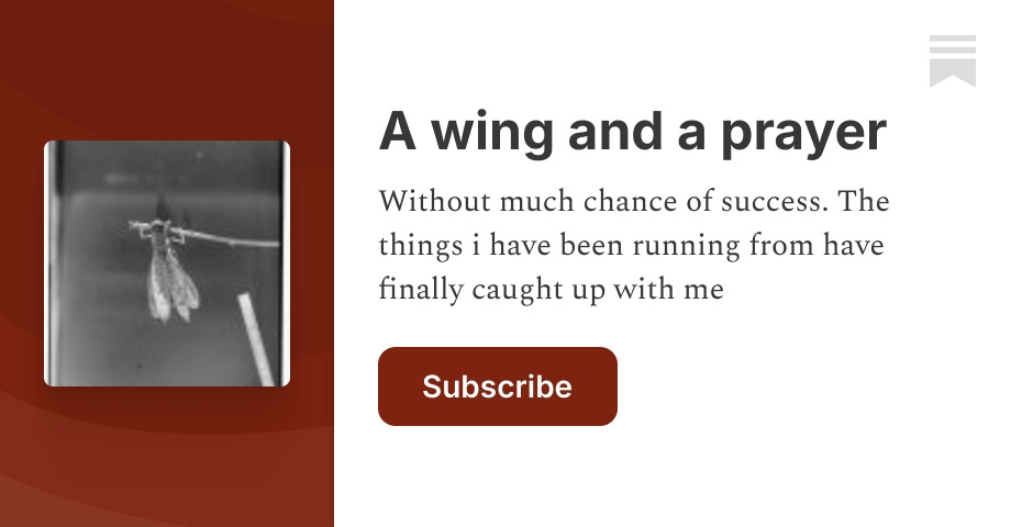 A wing and a prayer | Maria Guinnip | Substack