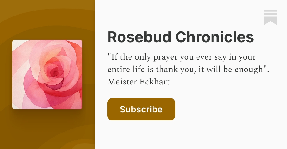 Olivia’s Substack | Olivia D. | Substack