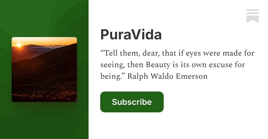 PuraVida | Mark Caicedo | Substack
