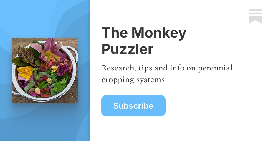 The Monkey Puzzler | Martin Crawford | Substack