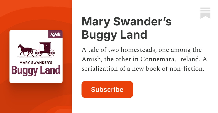 Mary Swander’s Buggy Land | Substack