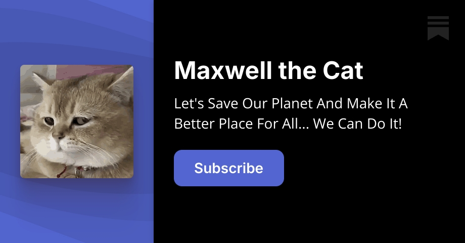 Maxwell the Cat | Substack