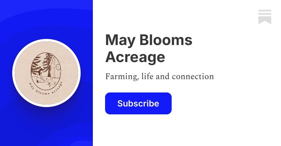 May Blooms Acreage | Substack