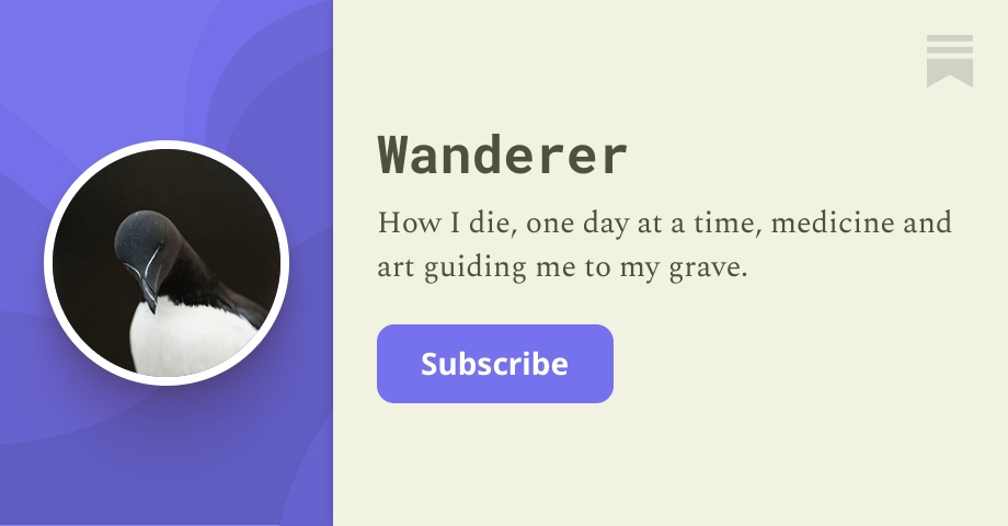 Wanderer | Substack