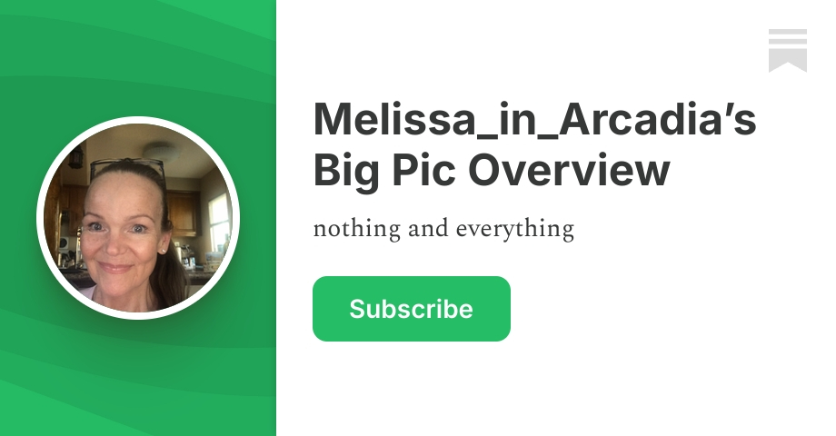 Melissa_in_Arcadia’s Big Pic Overview | Substack