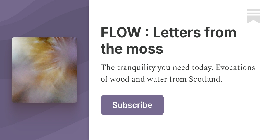 FLOW by Michela Griffith | Substack