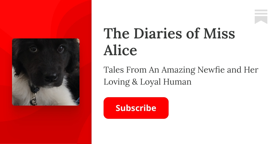 The Diaries of Miss Alice | Substack