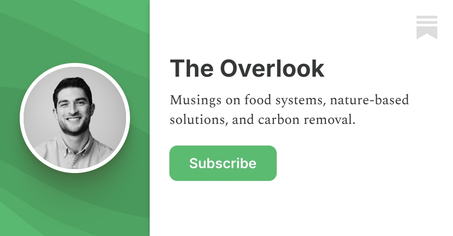 The Overlook | Mitch Rubin | Substack