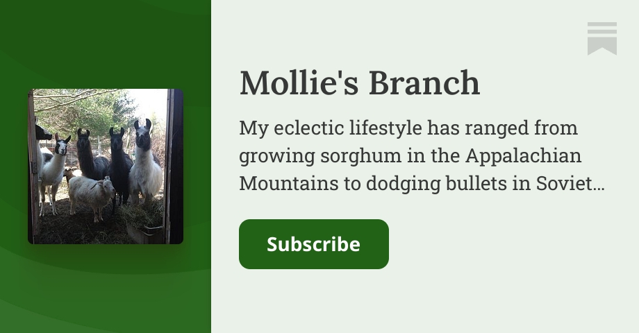 Mollie's Branch | Diane Price | Substack
