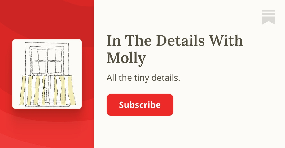 In The Details With Molly | Molly Blutstein | Substack