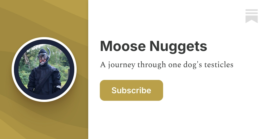 Archive - Moose Nuggets