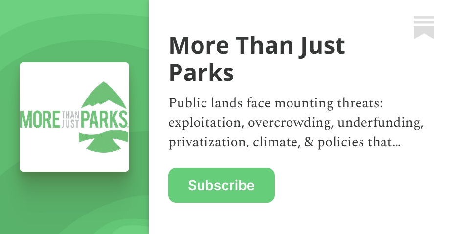 More Than Just Parks | Substack