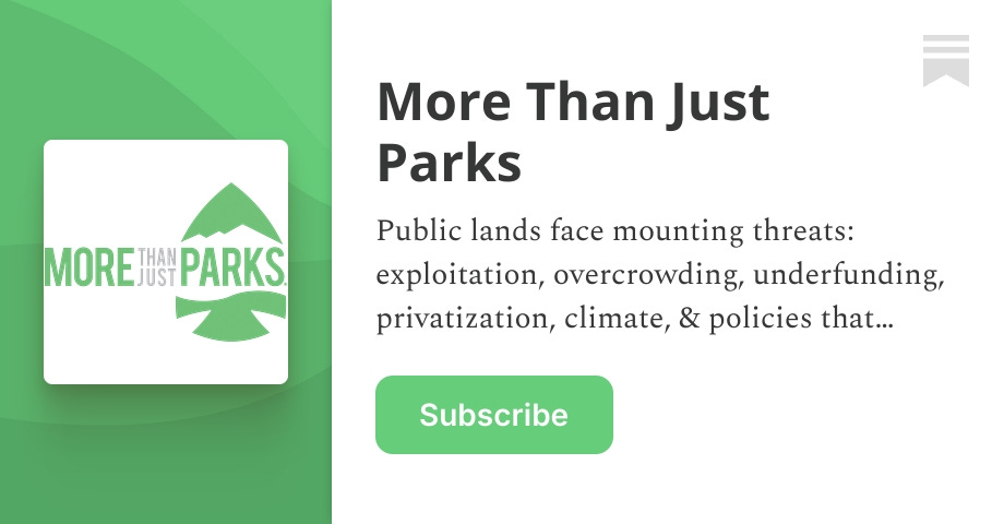 More Than Just Parks | Substack