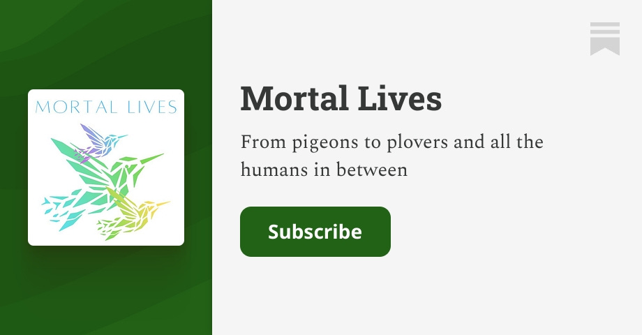 Mortal Lives | Suzanne Highland | Substack