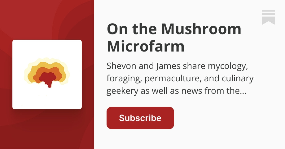 On the Mushroom Microfarm | Substack