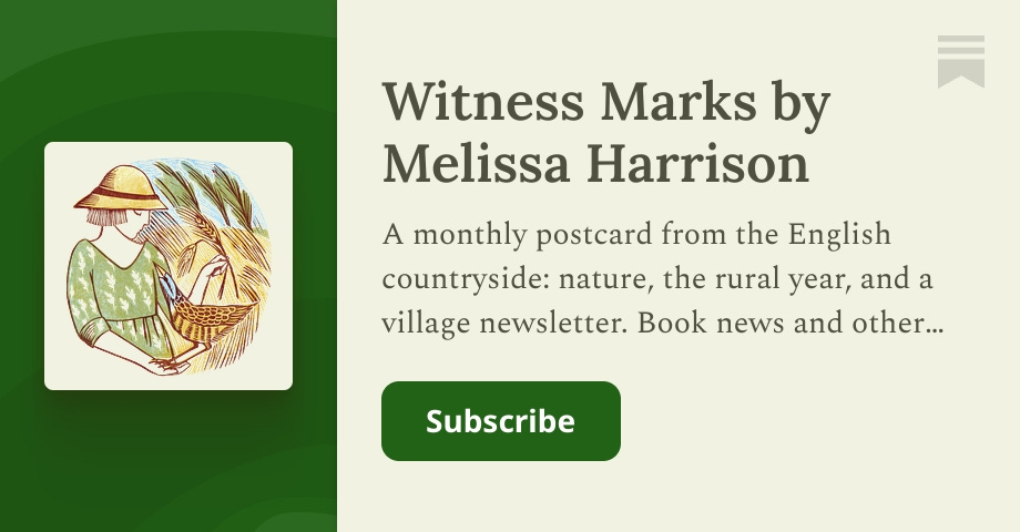 Witness Marks by Melissa Harrison | Substack