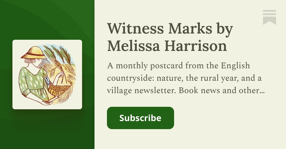 Witness Marks | Melissa Harrison | Substack