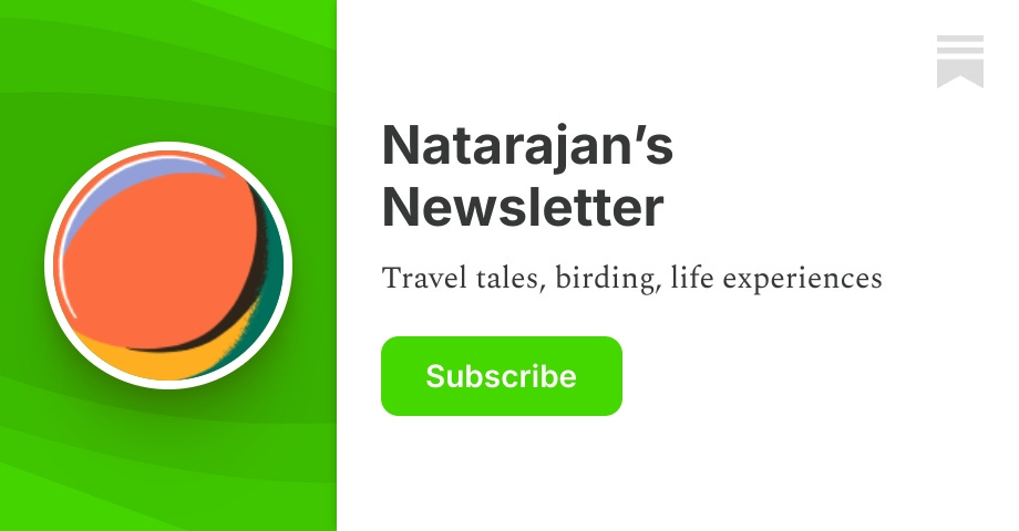 Natarajan’s Newsletter | Aaren | Substack