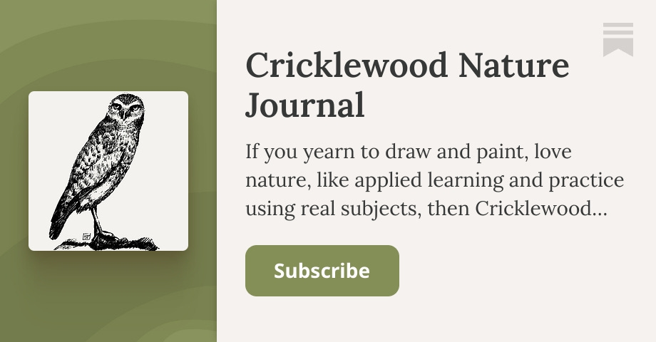 Cricklewood Nature Journal | Susannah Fisher | Substack