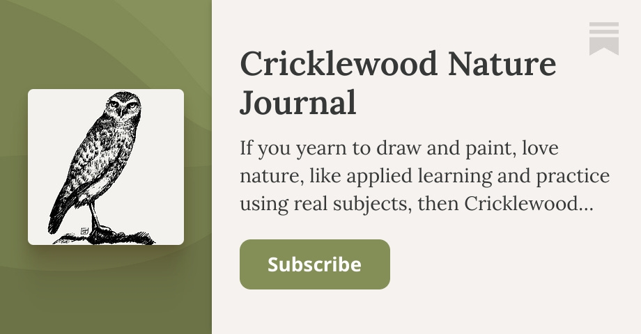 Cricklewood Nature Journal | Susannah Fisher | Substack
