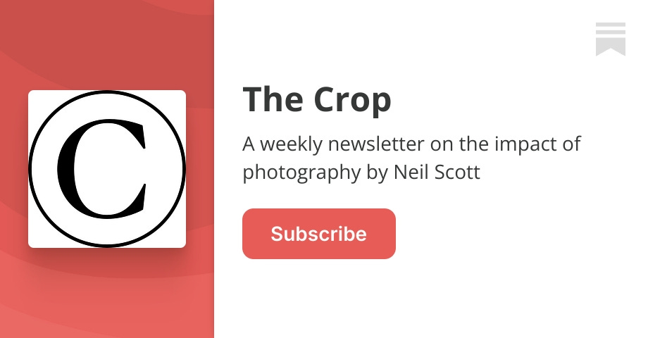 The Crop | Neil Scott | Substack