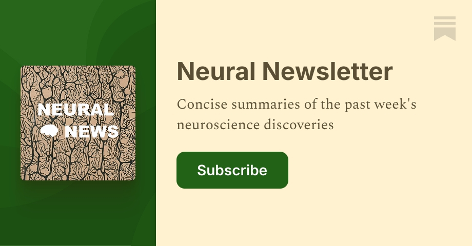 Neural Newsletter | Substack