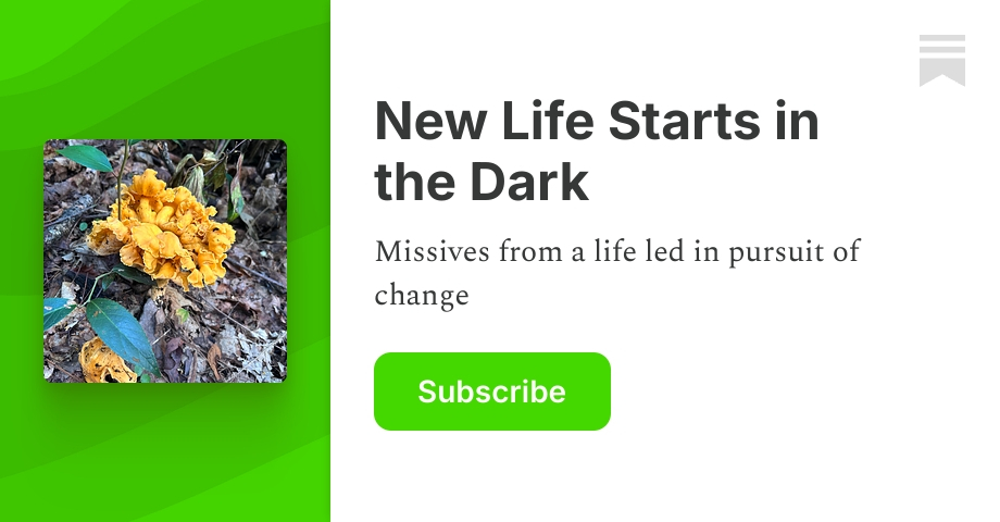 New Life Starts in the Dark | Emily May | Substack
