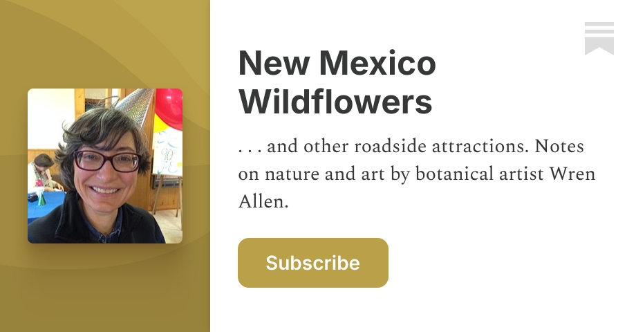 New Mexico Wildflowers | Wren Allen | Substack