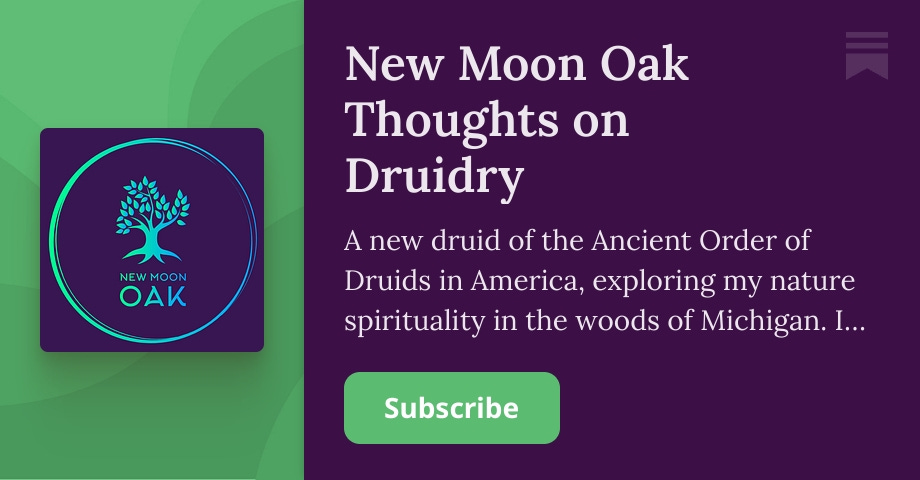 New Moon Oak Thoughts on Druidry | Substack