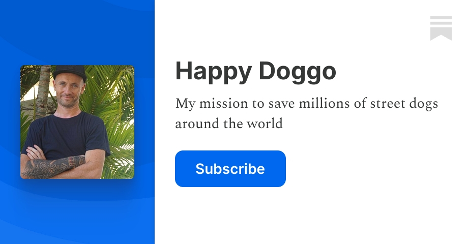 10,000 Dogs | Niall Harbison | Substack