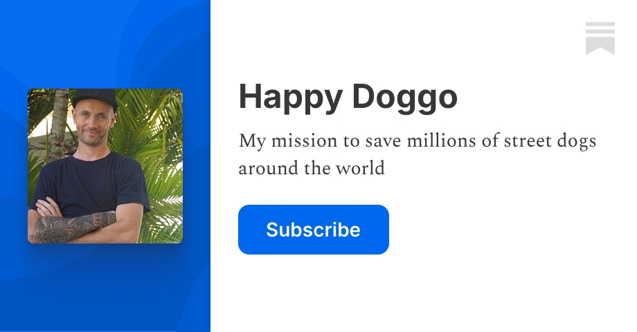 Happy Doggo | Niall Harbison | Substack